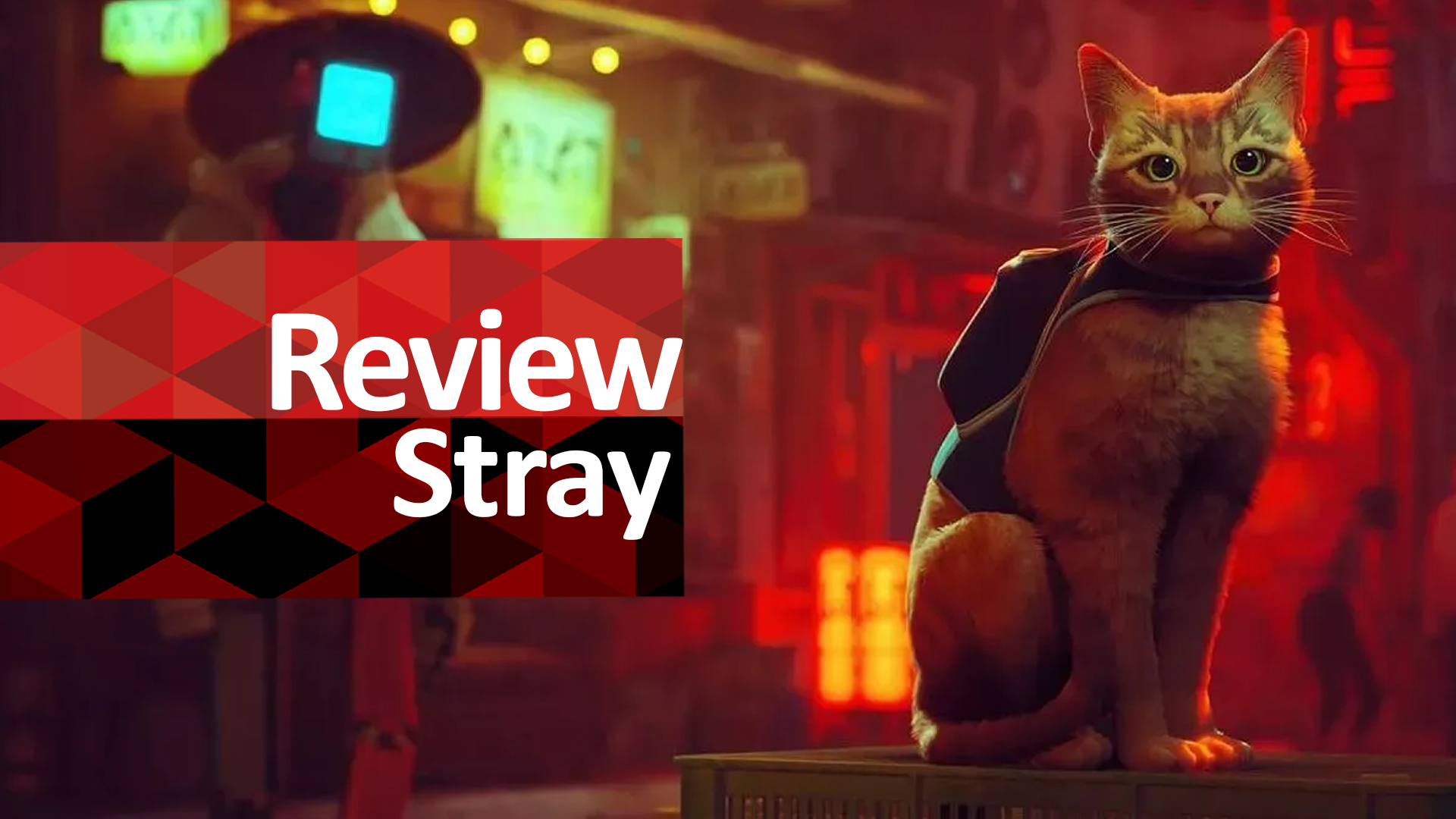 Stray | Review - MasGamers