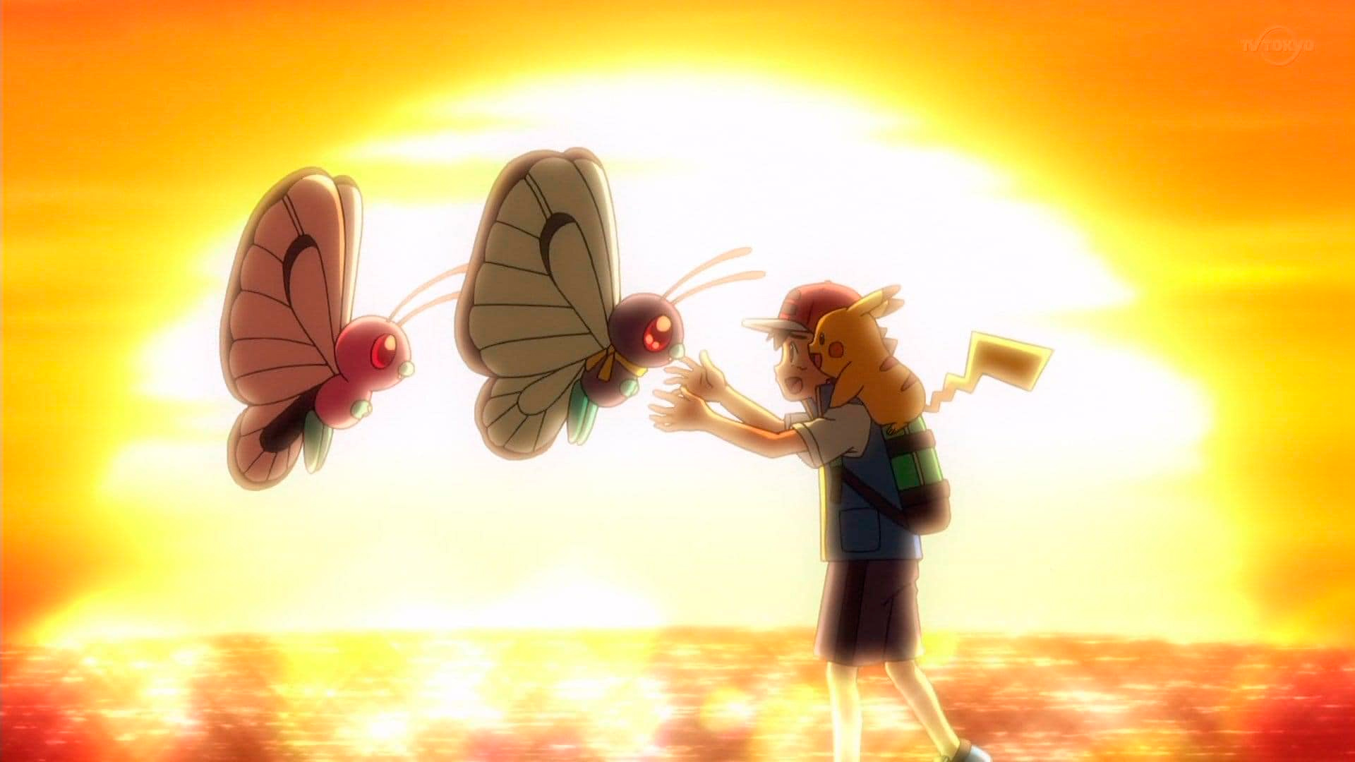 No vale llorar: Ash se reencuentra con Butterfree