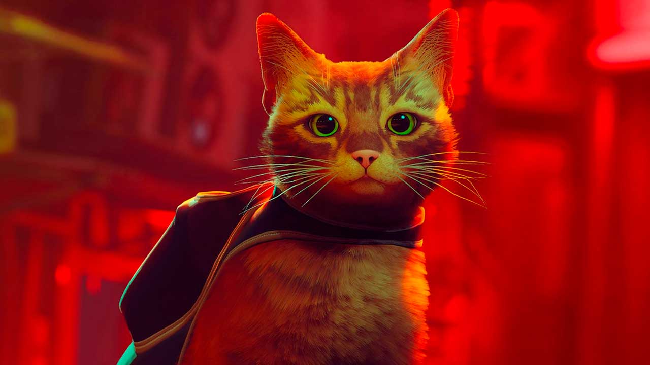 Stray, el juego del gato, llegará a Nintendo Switch